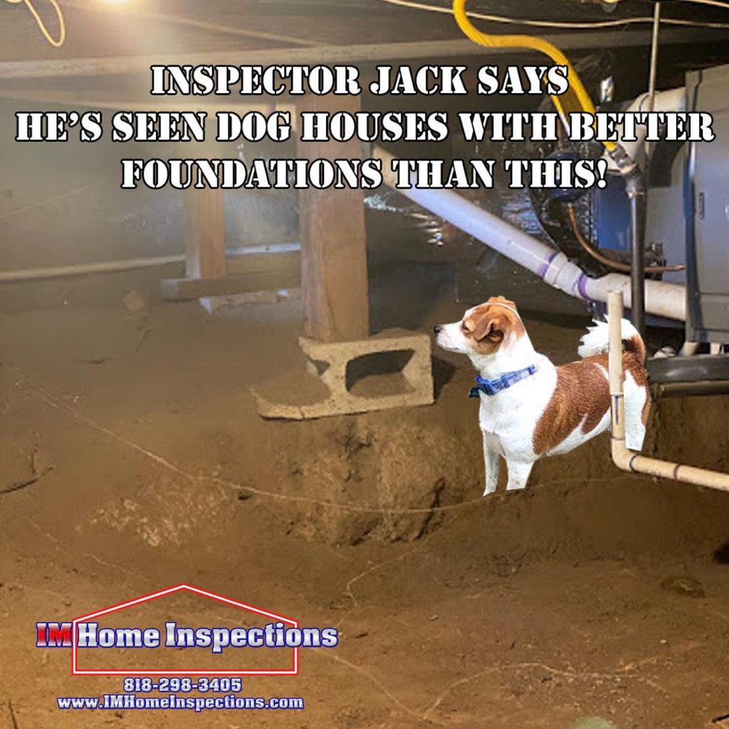 Inspector Jack the Inspection Dog - IM Home Inspections